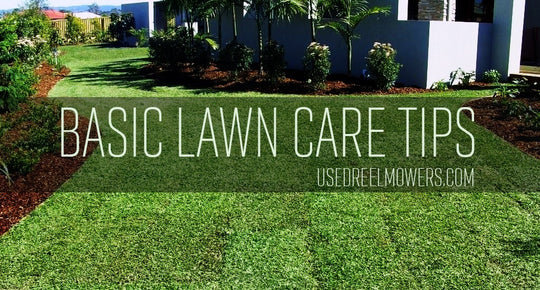 Basic Lawn Care Tips – UsedReelMowers.com